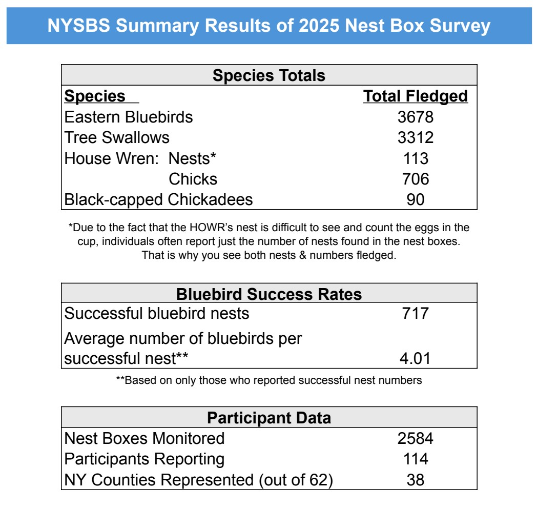 Nest Box Survey Annual Results – NYSBS